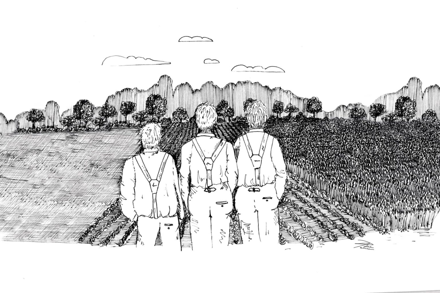 Le Laboureur et ses enfants - Morale et valeurs